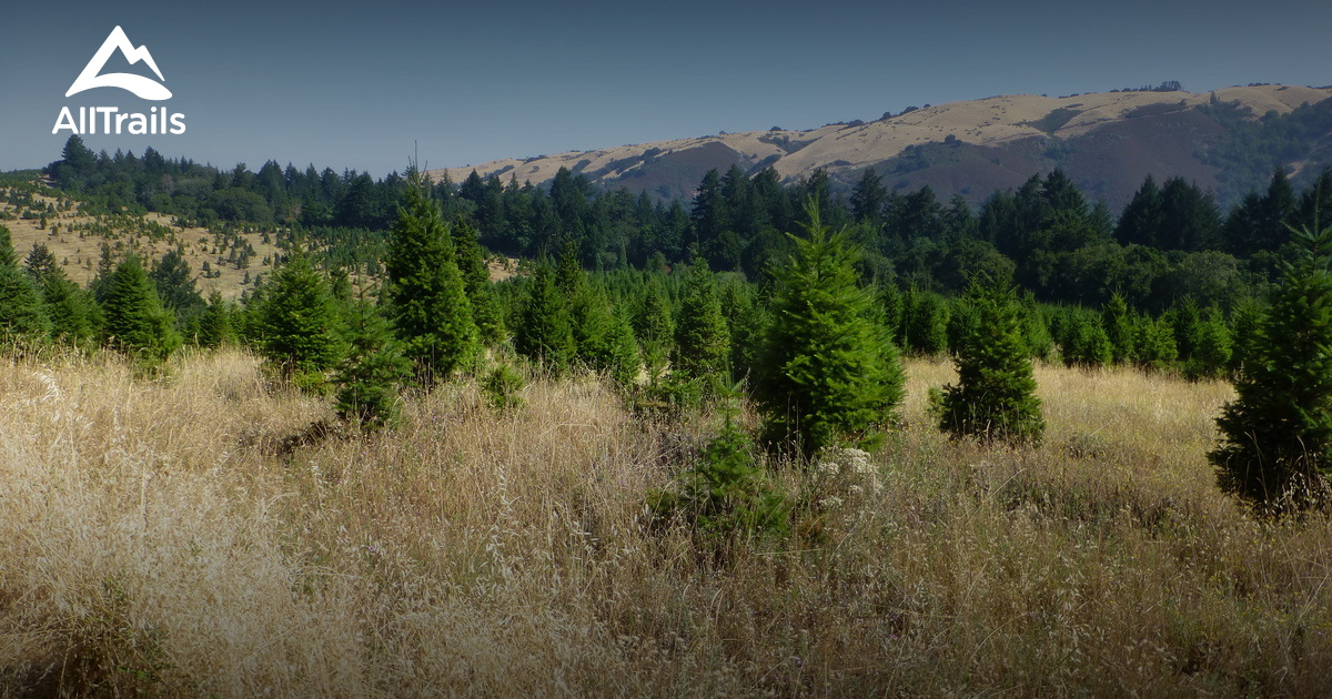 Best Trails in Russian Ridge Open Space Preserve - California | AllTrails
