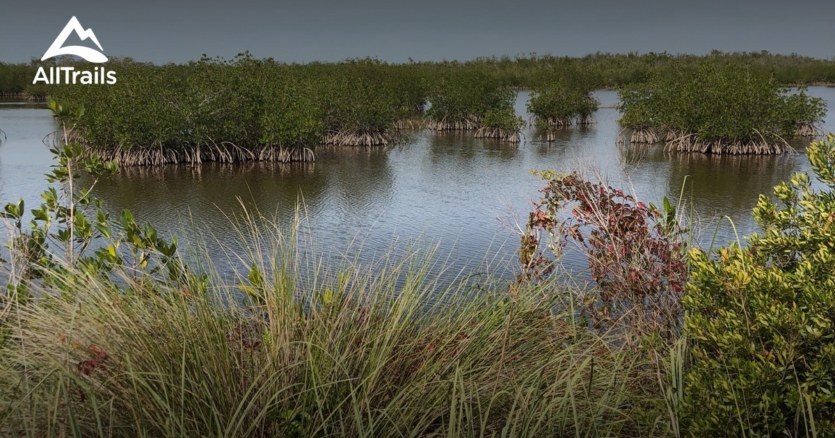 Best Trails in Ten Thousand Islands National Wildlife Refuge - Florida ...