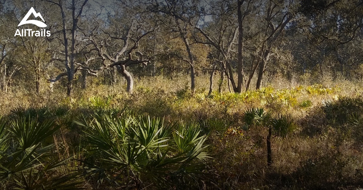 Best hikes and trails in Upper Pithlachascotee River Preserve | AllTrails