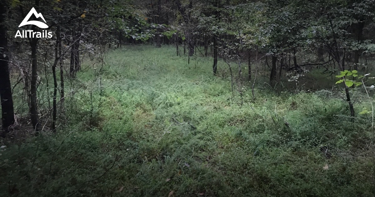 Best hikes and trails in Windward Slopes Park | AllTrails