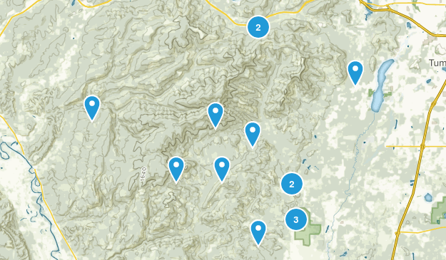 Best Trails in Capitol State Forest - Washington | AllTrails