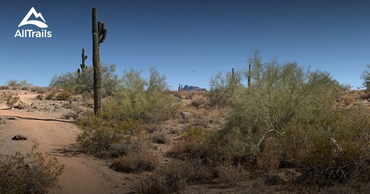 Best hikes and trails in Desert Trails Park | AllTrails