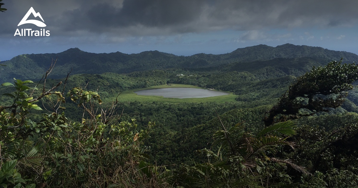 Best hikes and trails in Grand Etang | AllTrails