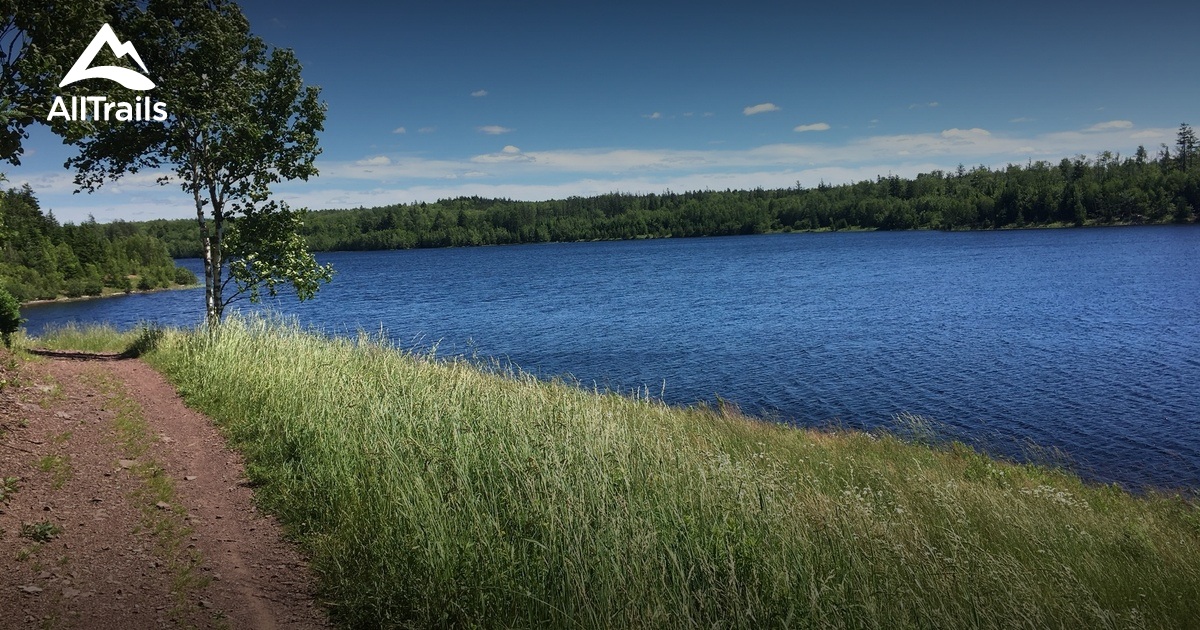 Best forest trails in Victoria Park | AllTrails