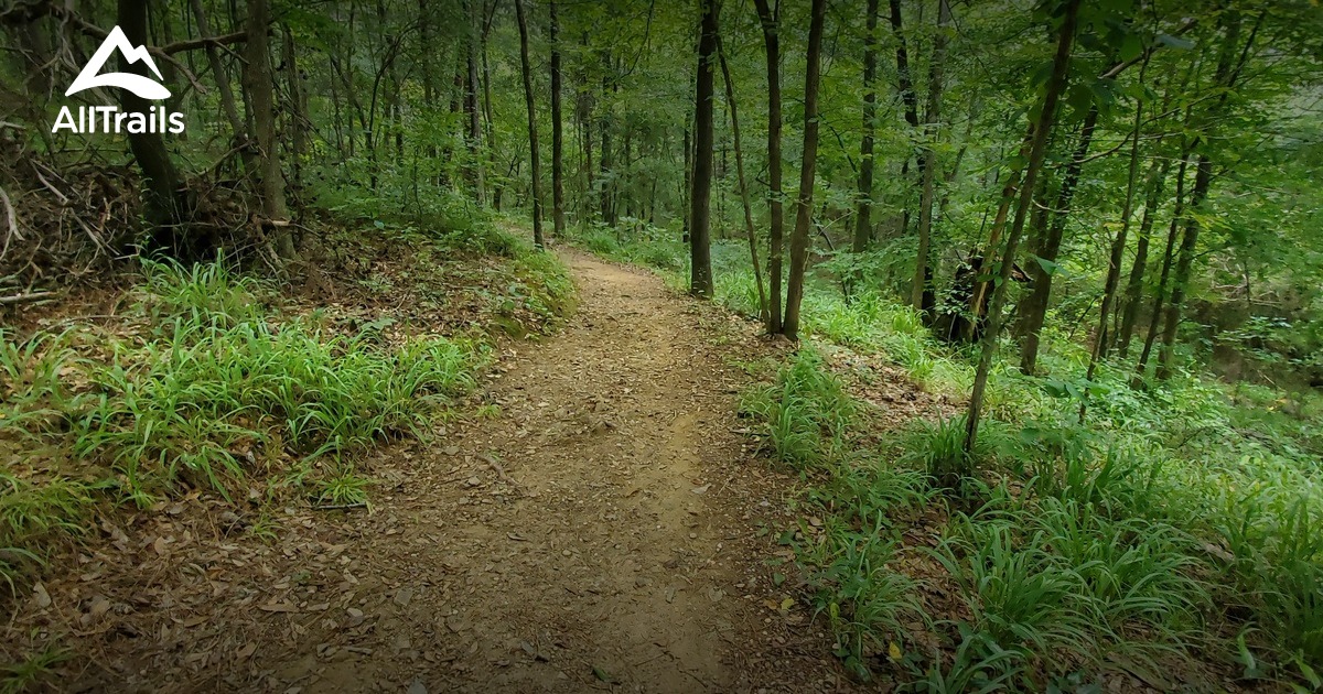 De beste mountainbikeroutes in Hurricane Creek Park | AllTrails