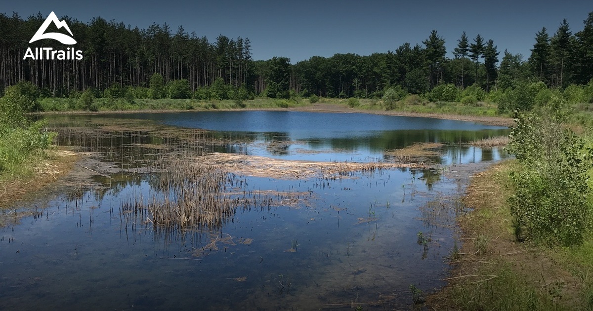 Best hikes and trails in Riley Trails Park | AllTrails