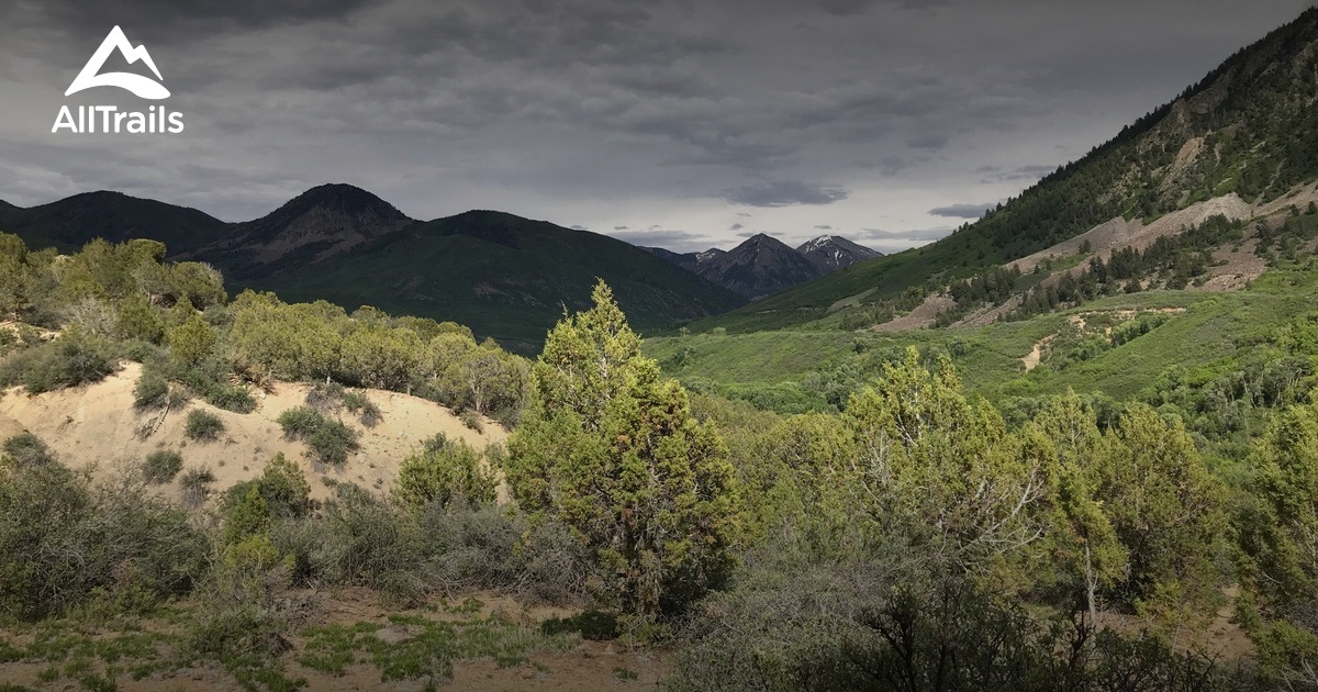 Best hikes and trails in Needle Rock Study Area | AllTrails