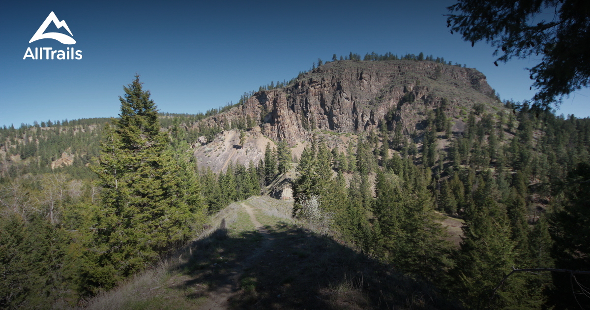 Best hikes and trails in Scenic Canyon Regional Park | AllTrails