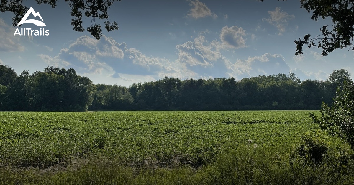 Best hikes and trails in Hawk Meadow Park | AllTrails