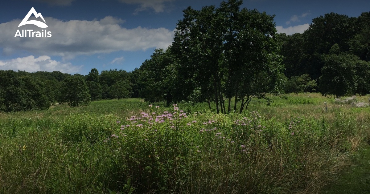 Best hikes and trails in Rachel Carson Conservation Park | AllTrails