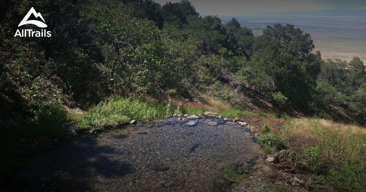 Best hikes and trails in Orient Land Trust | AllTrails