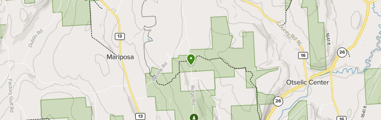 Best Hikes and Trails in Bucks Brook State Forest | AllTrails