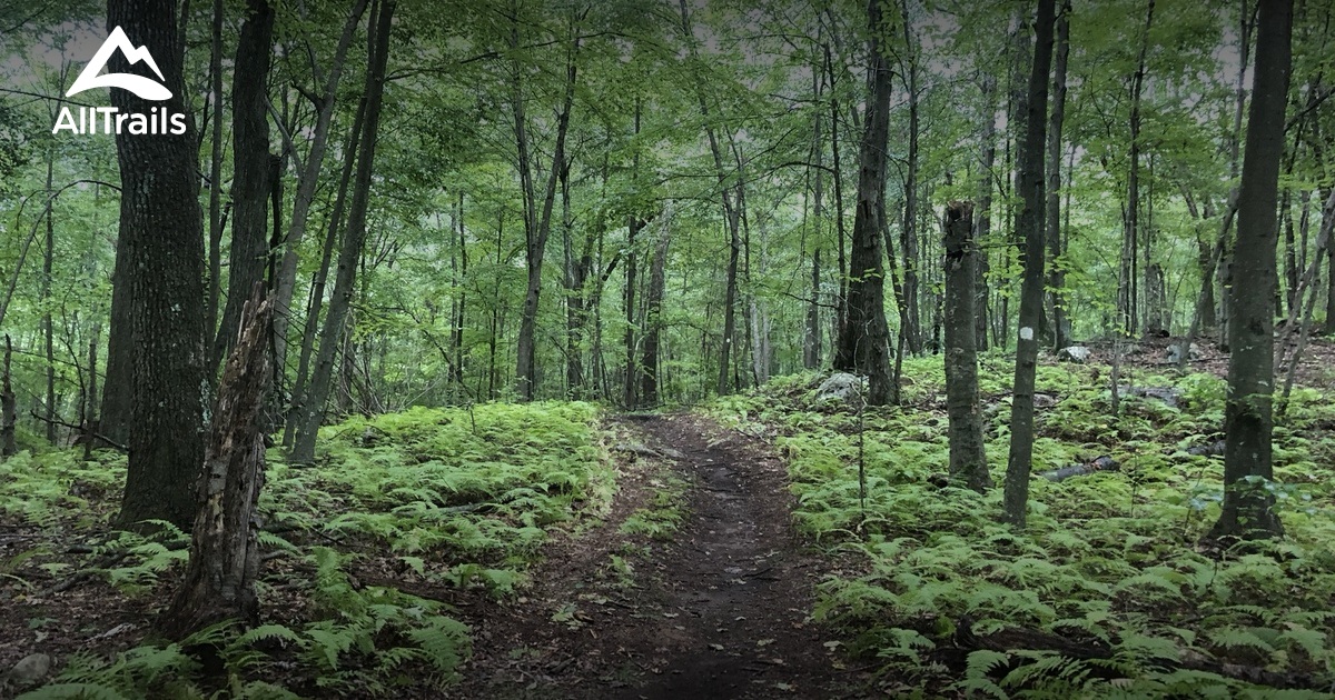 Best forest trails in Ansonia Nature Center | AllTrails