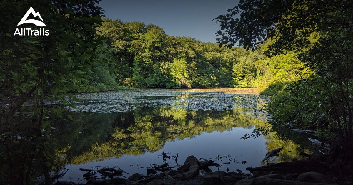 Best trails in Whipple Hill Conservation Lands, Massachusetts | AllTrails