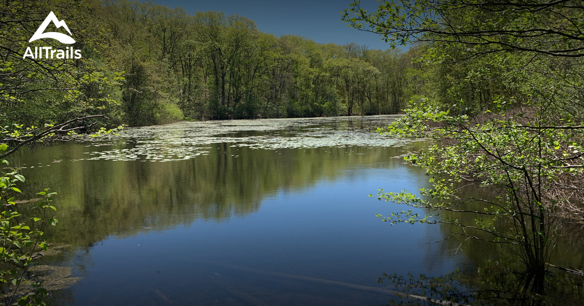 Best hikes and trails in Whipple Hill Conservation Lands | AllTrails