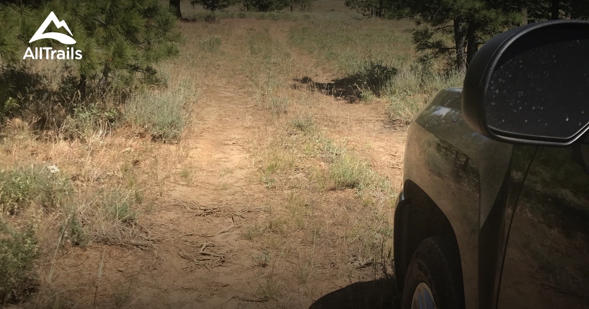 Best hikes and trails in Naneum Ridge State Forest | AllTrails