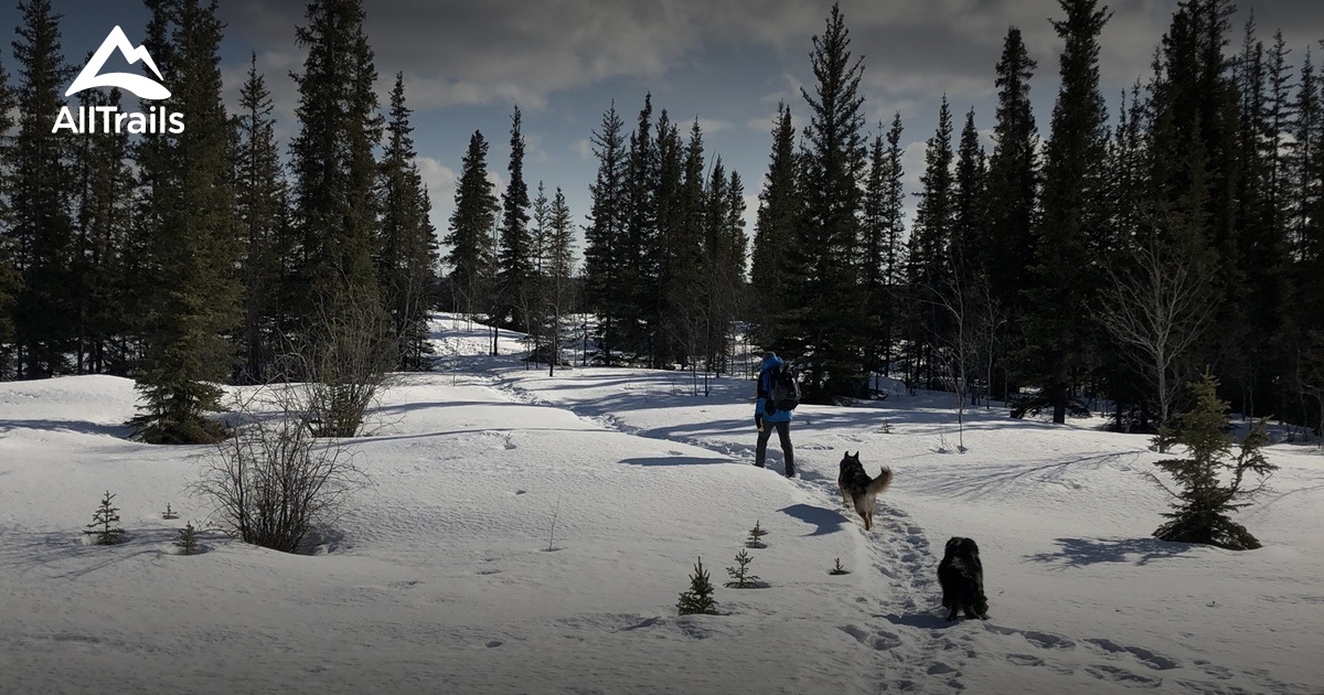 Best hikes and trails in Yellowknife River Day Use Territorial Park ...