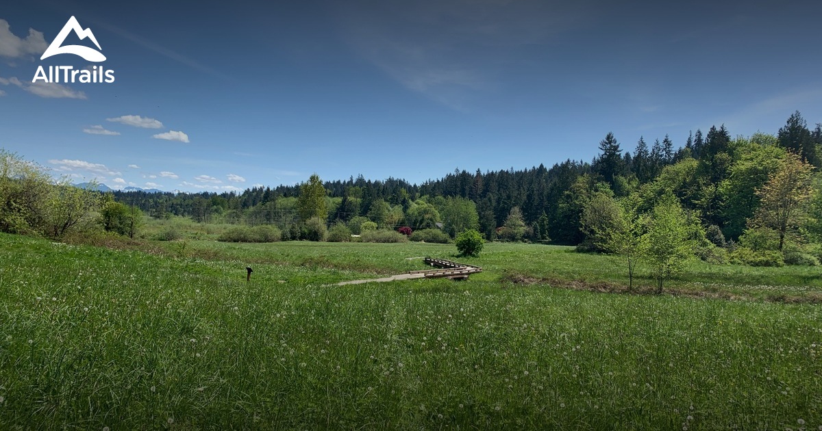Best Trails in Evans Creek Preserve - Washington | AllTrails