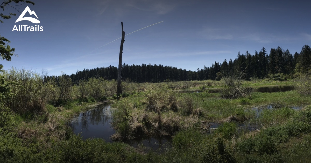 Best Hikes and Trails in Joint Base Lewis-McChord | AllTrails