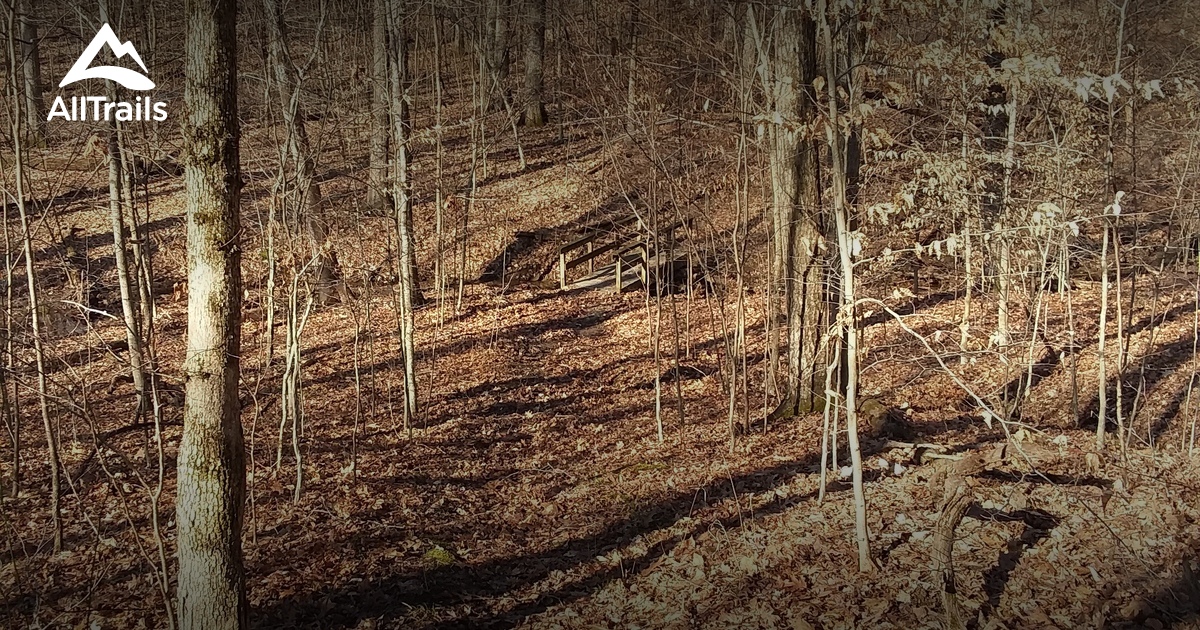 Best hikes and trails in Paynetown State Recreation Area | AllTrails