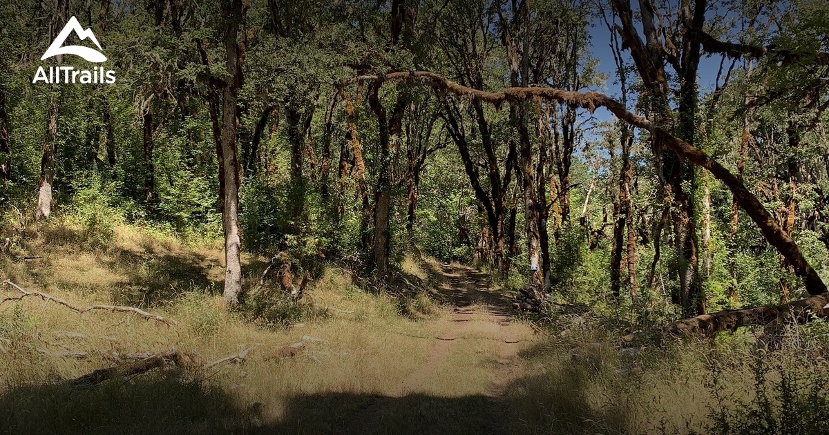 Best hikes and trails in Mildred Kanipe Park | AllTrails