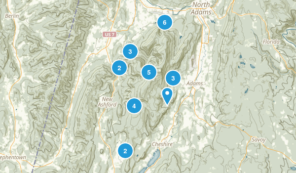 Best Trails in Mount Greylock State Reservation - Massachusetts | AllTrails