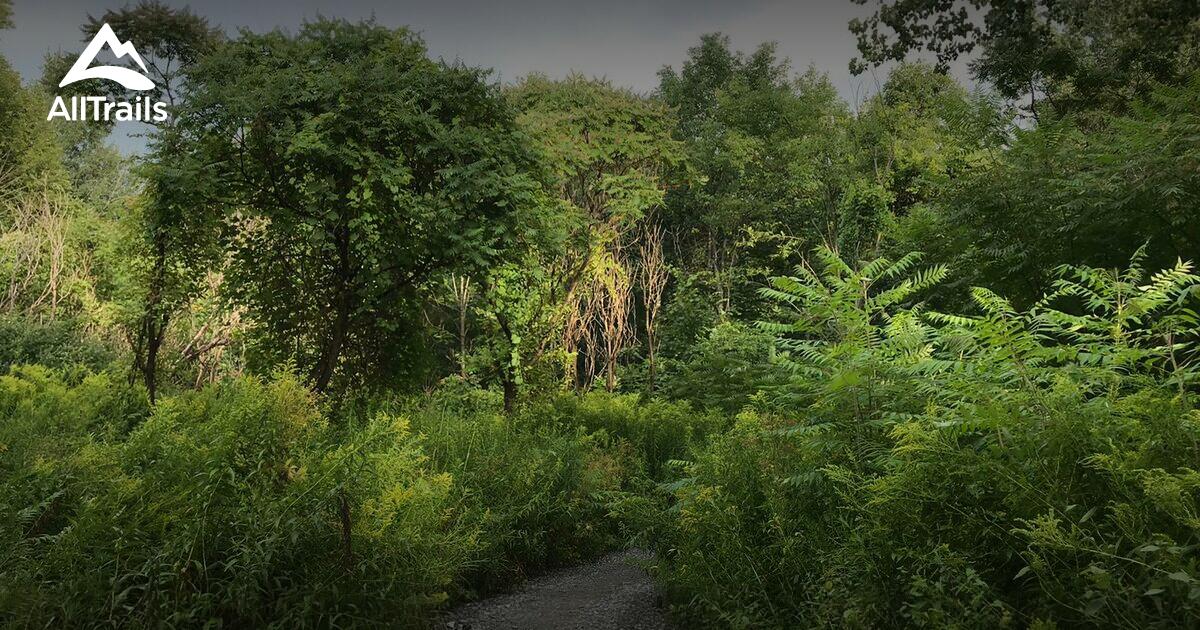 10 Best hikes and trails in Mount Greylock State Reservation | AllTrails