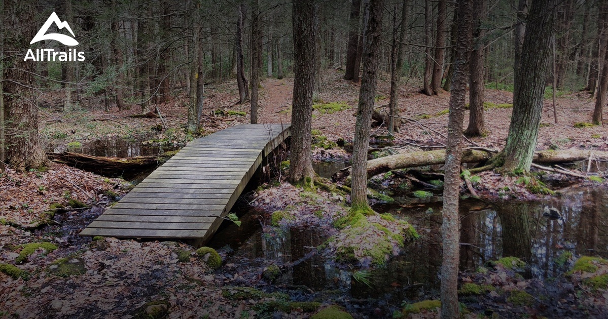 Best hikes and trails in Poutwater Pond Wildlife Management Area ...