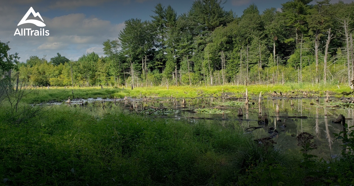 Best easy trails in Hopbrook Marsh Conservation Land | AllTrails
