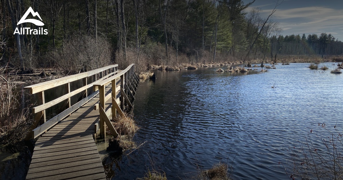 Best forest trails in Heath Hen Meadow Conservation Area | AllTrails