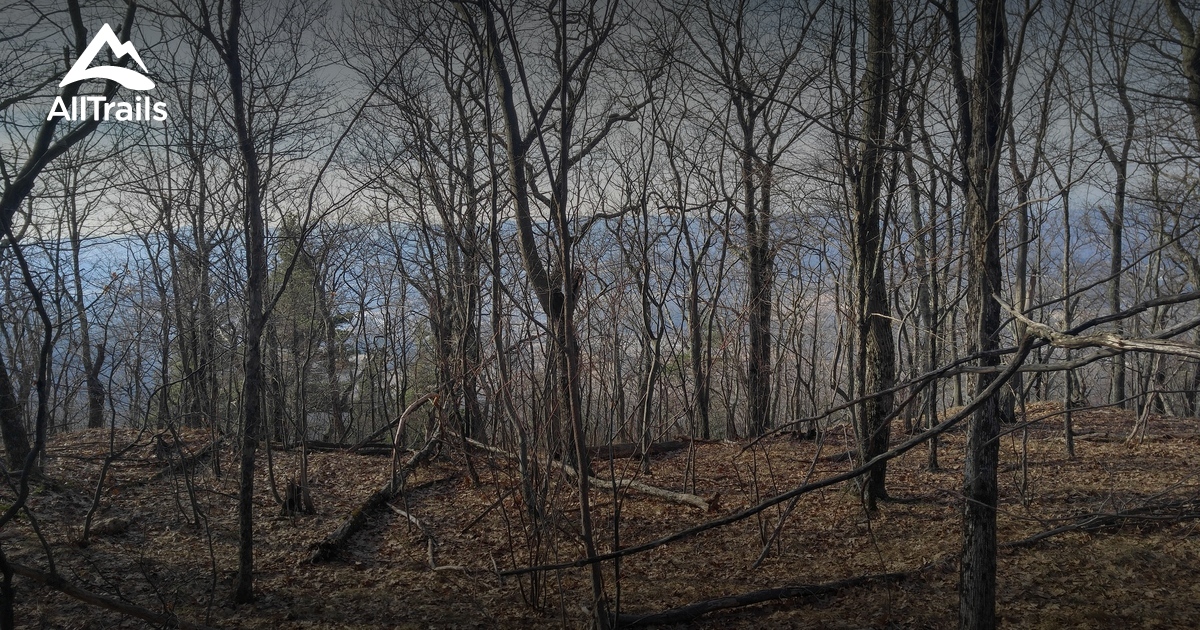 Best hikes and trails in Batten Kill State Forest | AllTrails