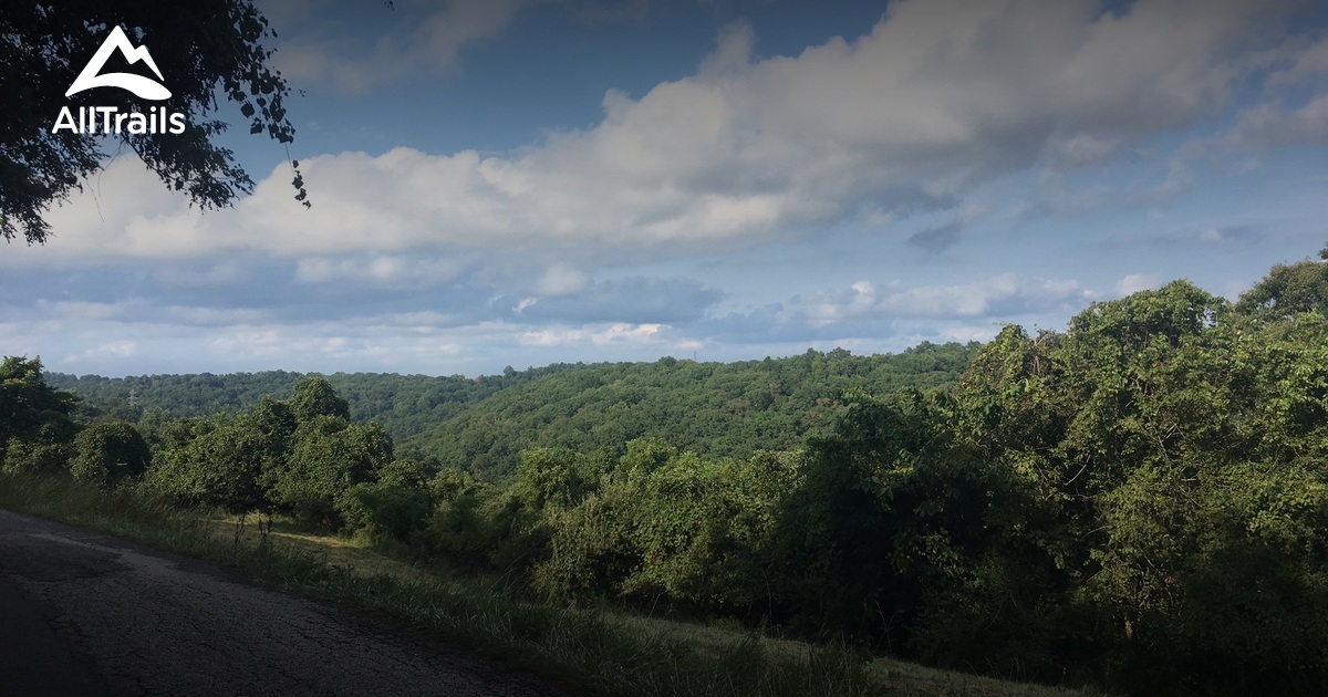 Best hikes and trails in Ritter Park | AllTrails