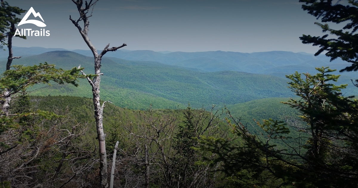 Best Trails in Slide Mountain Wilderness - New York | AllTrails