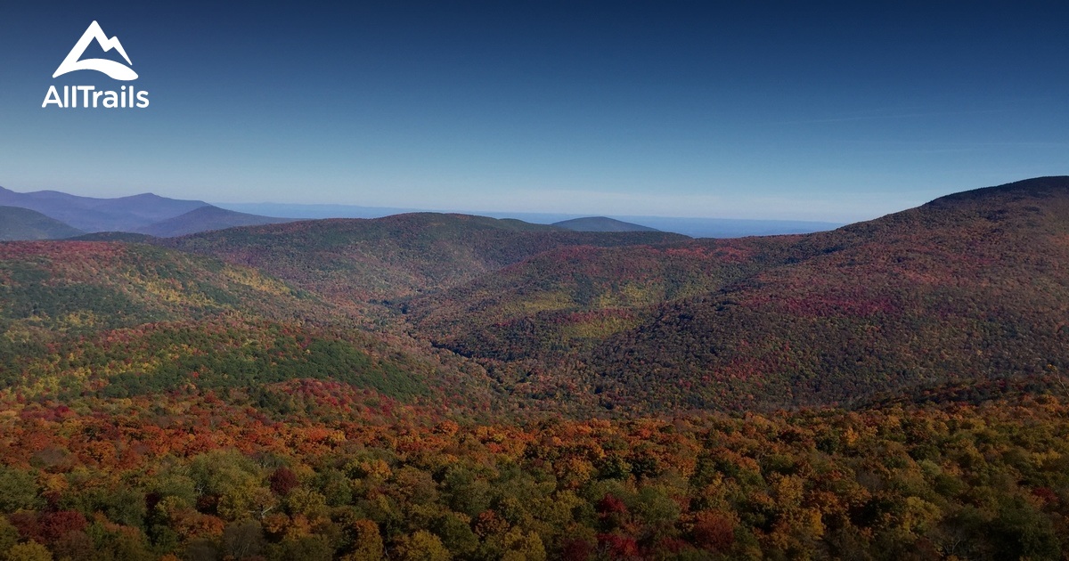 Best Trails in Slide Mountain Wilderness - New York | AllTrails