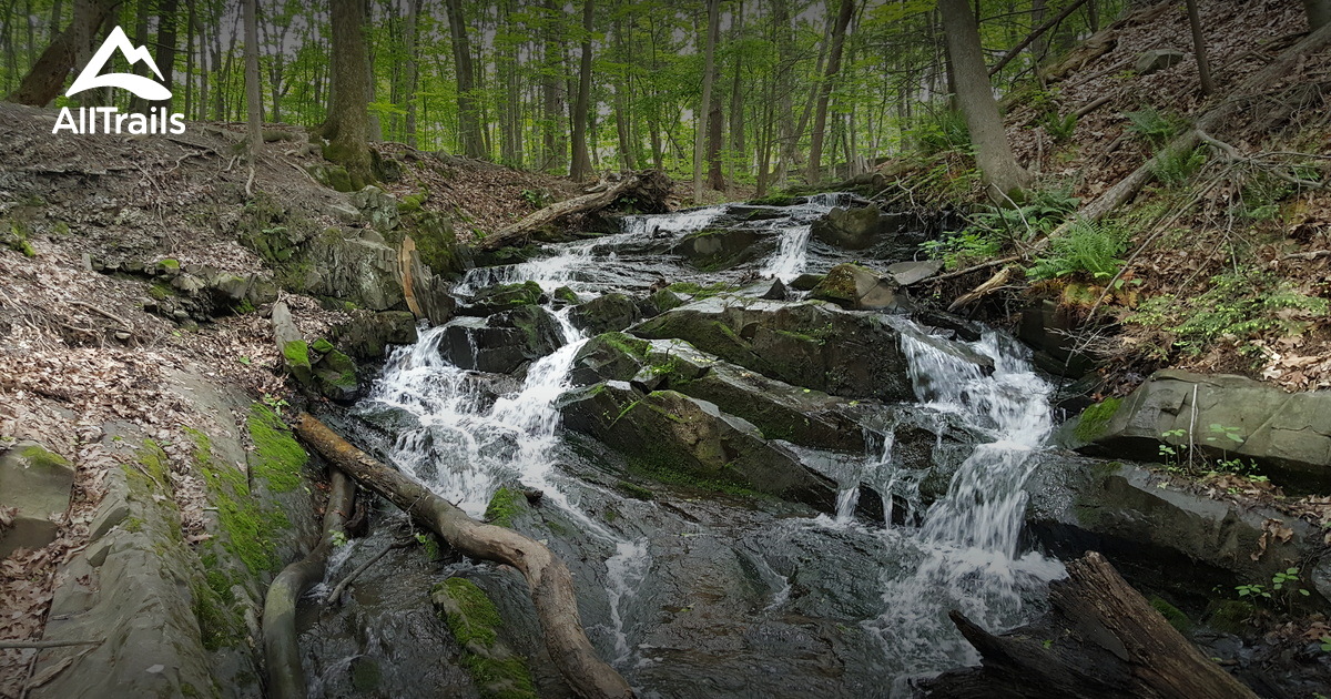 Best hikes and trails in Falling Waters Preserve | AllTrails