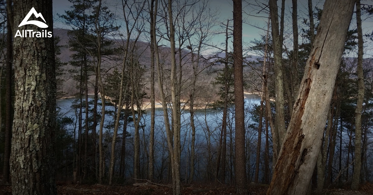 Best Trails in Carvins Cove Natural Reserve - Virginia | AllTrails
