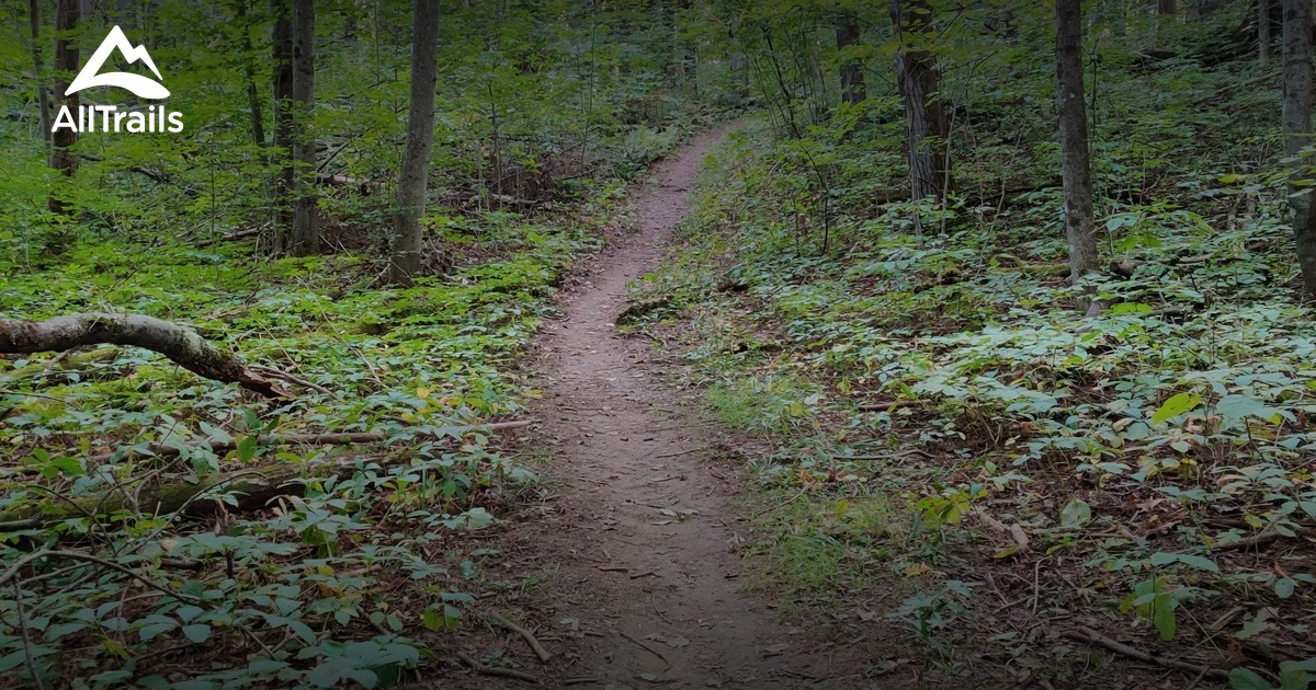 Best hikes and trails in Indian Brook Park | AllTrails