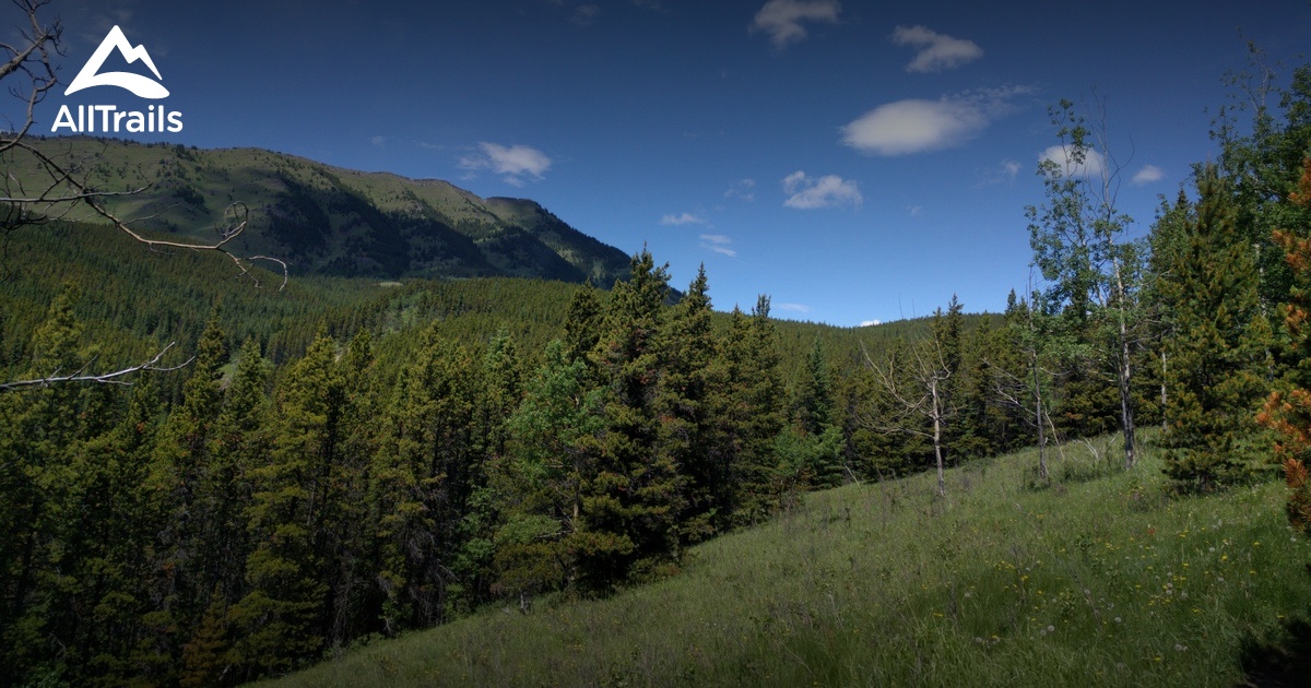 Cataract Creek Snow Vehicle Public Land Use Zone : les meilleures ...