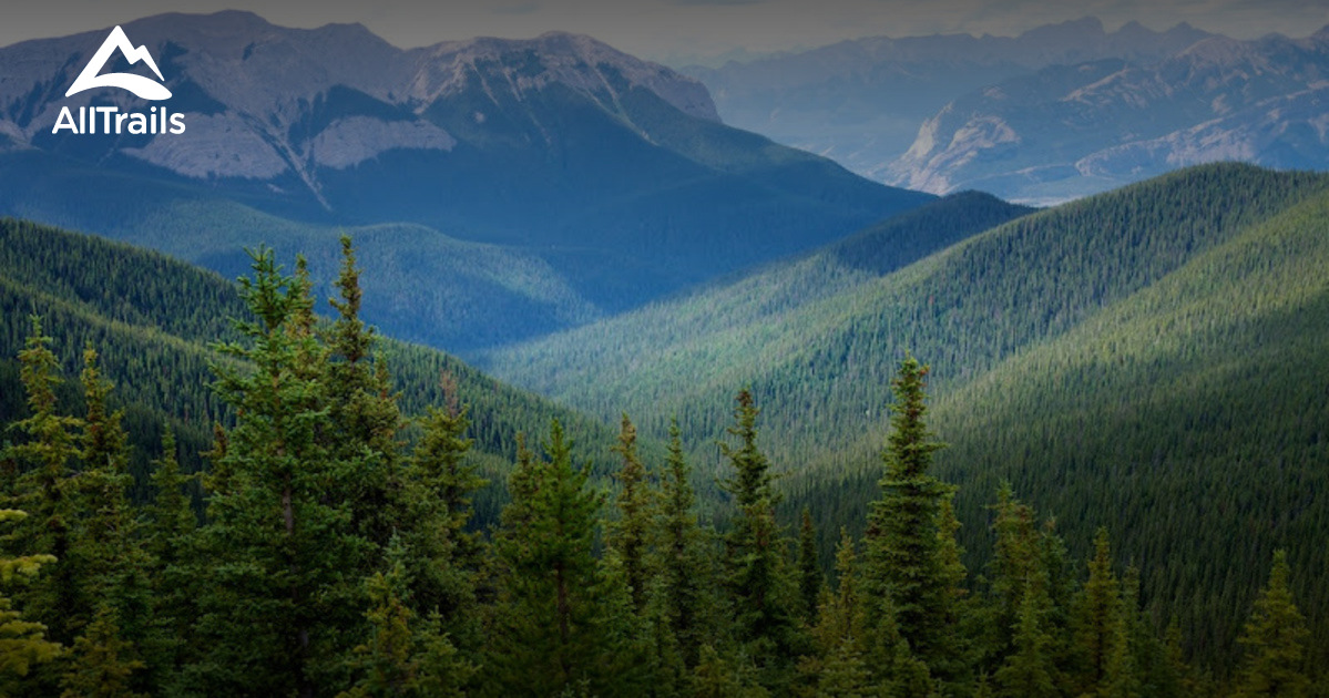 Best Trails in Brule Lake Public Land Use Zone - Alberta, Canada ...