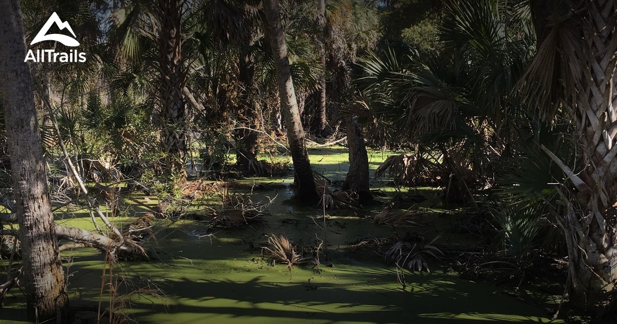 Best trails in Cape Romain National Wildlife Refuge, South Carolina ...