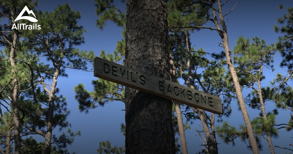 Best trail running trails in Hitchcock Woods | AllTrails