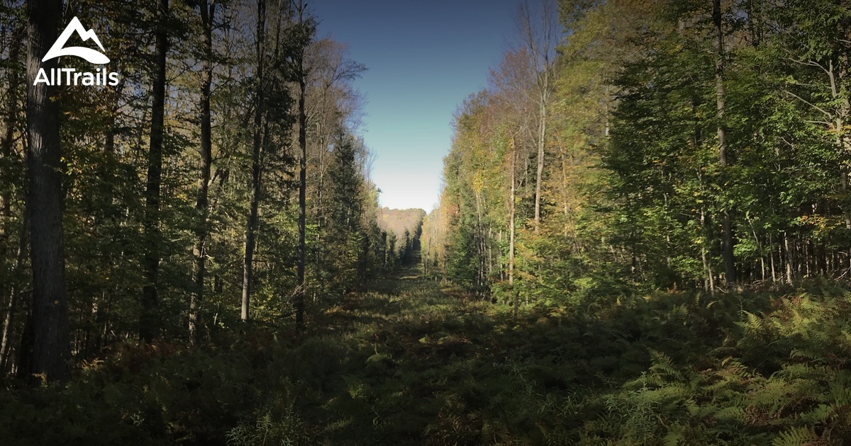 Best hikes and trails in Jones Park | AllTrails