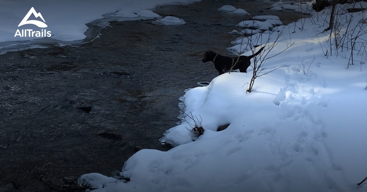 I migliori sentieri fluviali in Bozen Kill Preserve | AllTrails