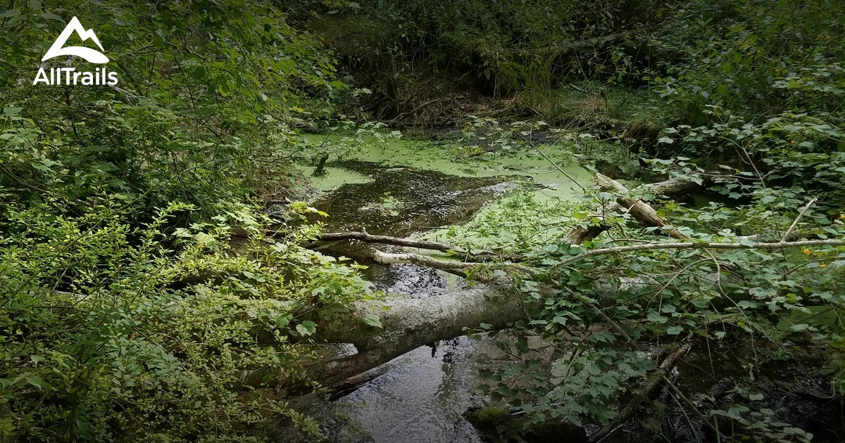 Best walking trails in Four Ponds Conservation Area | AllTrails