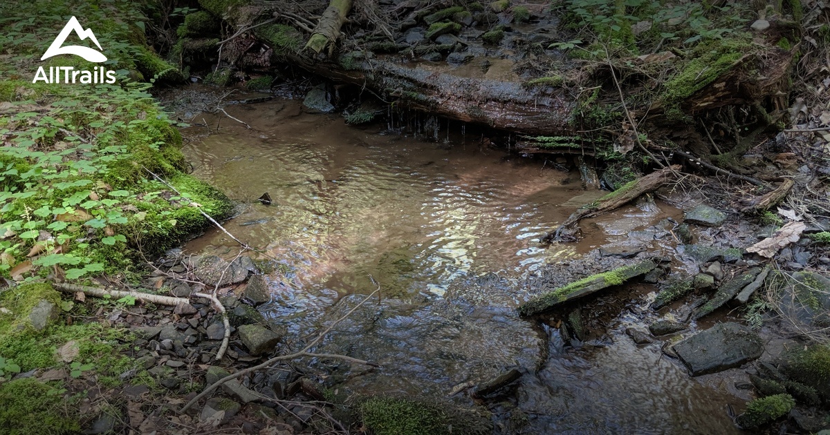 Best hikes and trails in Beals Pond State Forest | AllTrails