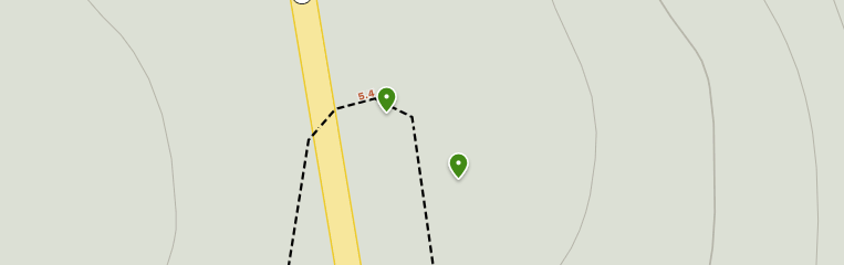 Best trails in Steam Mill State Forest, New York | AllTrails