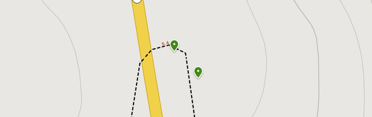 Best Hikes and Trails in Steam Mill State Forest | AllTrails