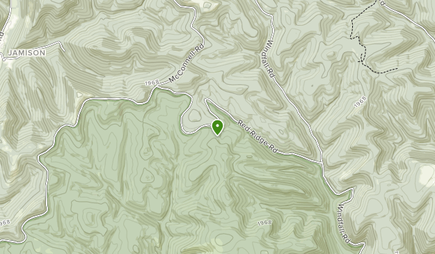 Best Trails in Hammersley Wild Area - Pennsylvania | AllTrails