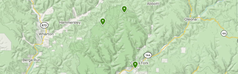 Best Hikes and Trails in Hammersley Wild Area | AllTrails