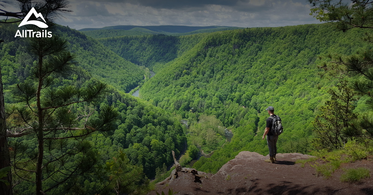 10 Best hikes and trails in Pine Creek Gorge Natural Area | AllTrails
